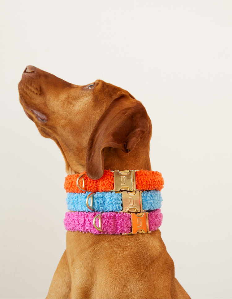 DOGGUO COLLECTION – Dogguo.com