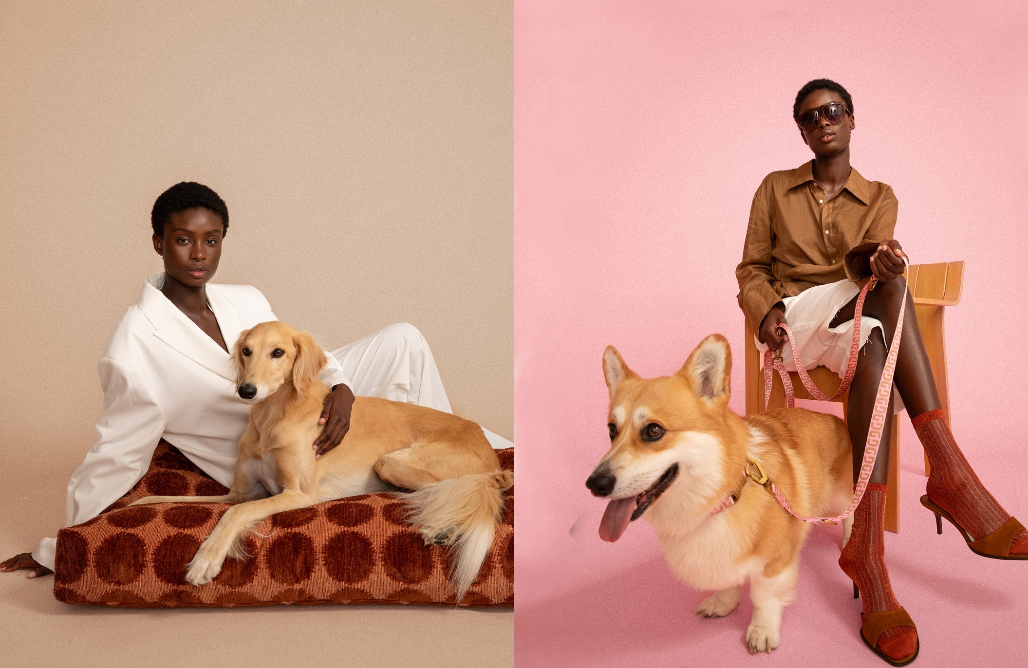 ALL-EVERYTHING – Dogguo.com