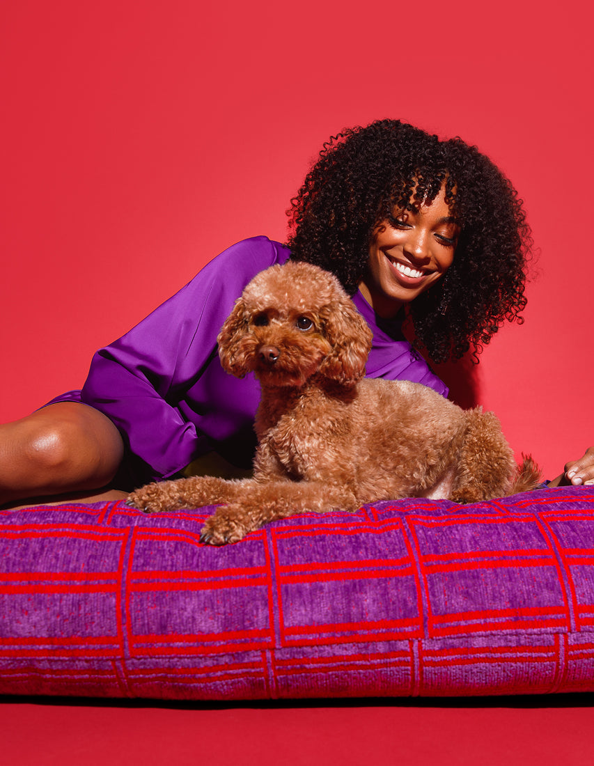 ALL-EVERYTHING – Dogguo.com