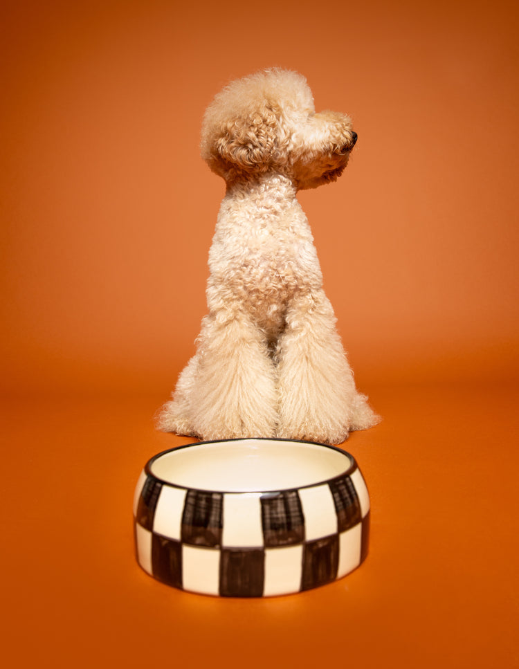 ALL-EVERYTHING – Dogguo.com