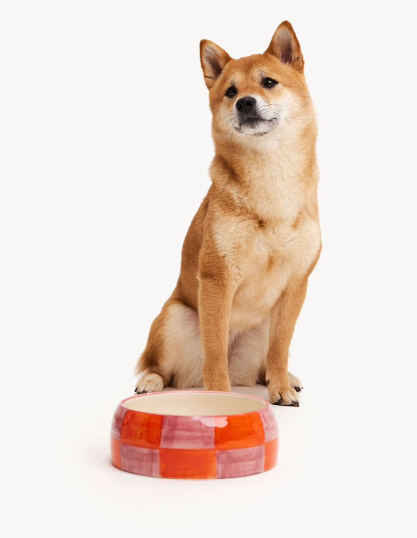 ALL-EVERYTHING – Dogguo.com