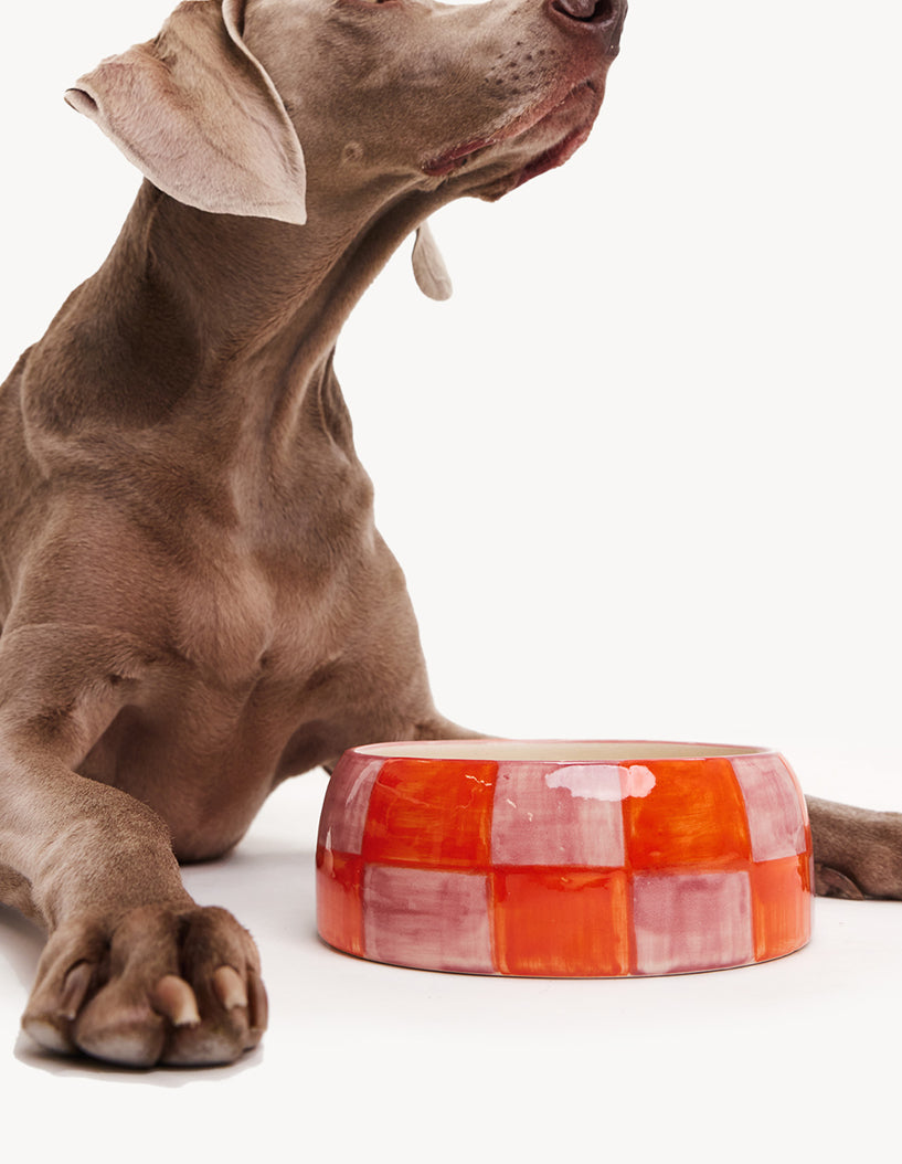 ALL-EVERYTHING – Dogguo.com