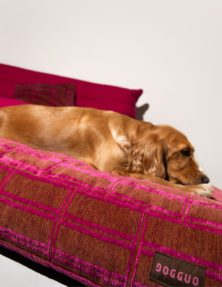 ALL-EVERYTHING – Dogguo.com